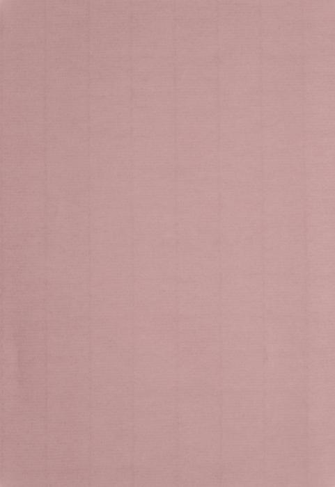 A4 Papper 10-pack 110g Dimrosa