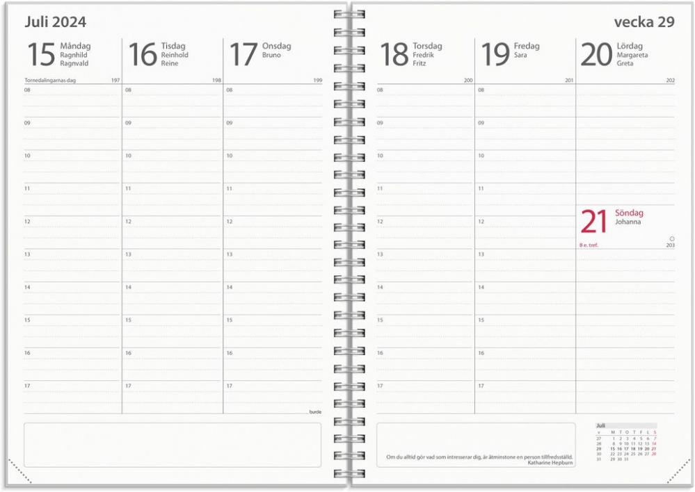 Kalender Velvet Study 2024-2025