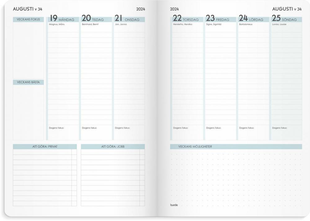 Life Planner 2024 Focus