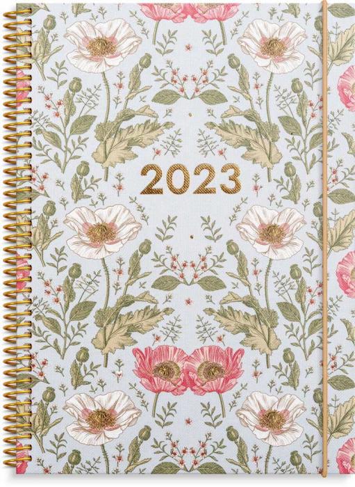 Senator A5 Story blomma 2023