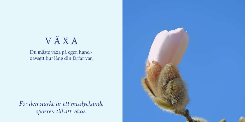 Stora Motivationsboken