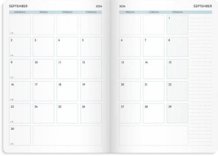 Life Planner 2024 Focus