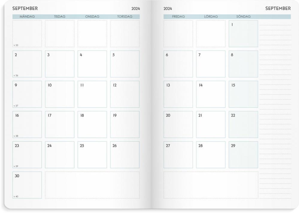 Life Planner 2024 Focus